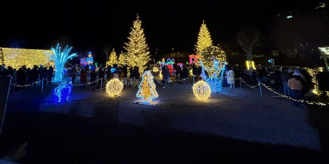 Crèdit Andorrà al mòbil amb el nou servei e-Crèdit - El Periòdic d'Andorra